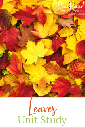 Leaves Unit Study - Year Round Homeschooling