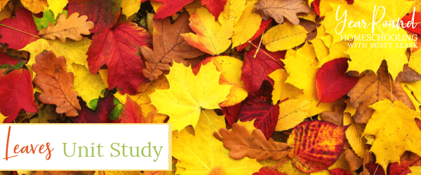 Leaves Unit Study - Year Round Homeschooling