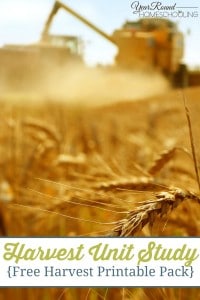 Harvest Unit Study with FREE Harvest Printable Pack - Year Round ...
