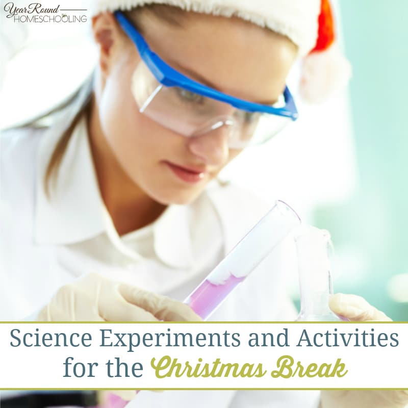Science Experiments and Activities for the Christmas Break - Year Round ...