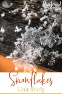 Snowflakes Unit Study - Year Round Homeschooling