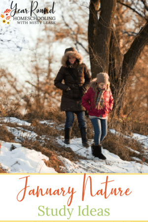 January Nature Study Ideas - Year Round Homeschooling