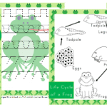 Free Turtle PreK Fun Pack - Year Round Homeschooling