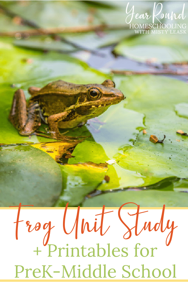 Frog Unit Study - Year Round Homeschooling