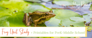 Frog Unit Study + Printables for PreK-Middle School - Year Round ...