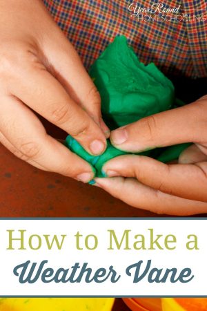 Hands-on Science: Make a Weather Vane