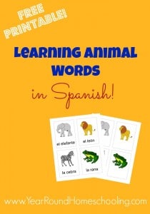 Spanish Animal Words - Year Round Homeschooling