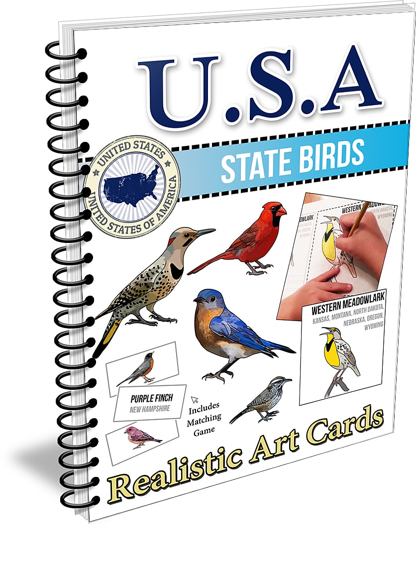 USAStateBirdArtPack - Year Round Homeschooling