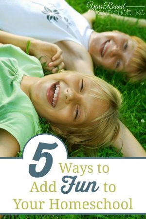 5 Ways to Add Fun to Your Homeschool - Year Round Homeschooling