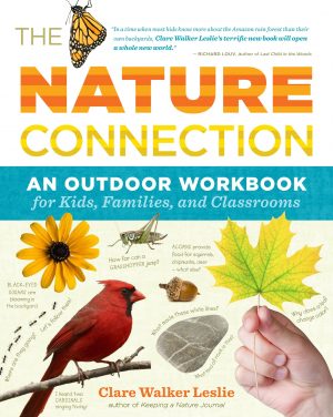 Homeschool Nature Study Curriculum Round Up - Year Round Homeschooling