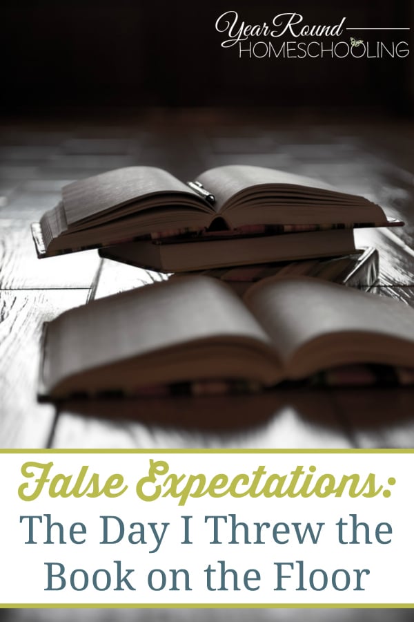 False Expectations: The Day I Threw the Book on the Floor - Year Round ...
