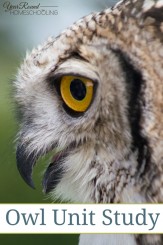 Owl Unit Study - Year Round Homeschooling