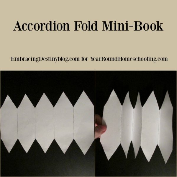 accordion mini book - Year Round Homeschooling