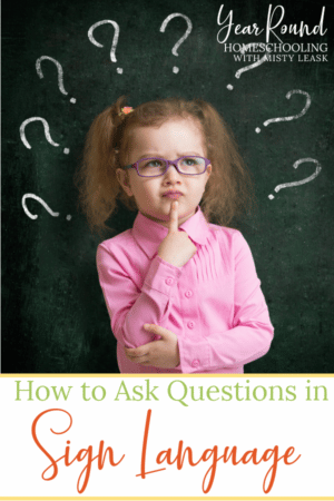 How to Ask Questions in Sign Language - Year Round Homeschooling