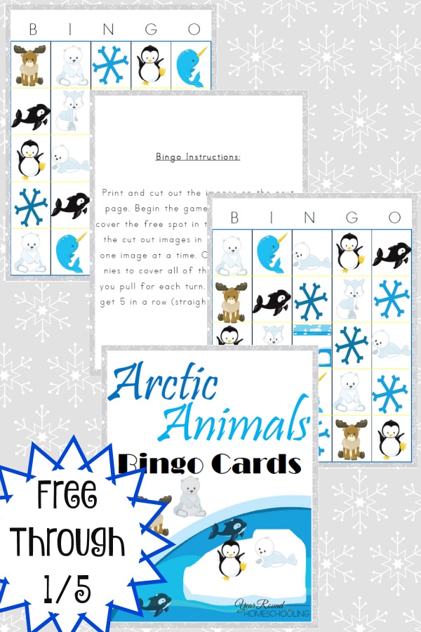 Arctic Animals Bingo Cards - By Year Round Homeschooling - Year Round ...
