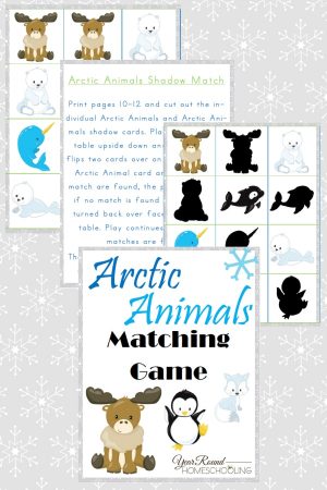 Arctic Animals Matching Game - Year Round Homeschooling