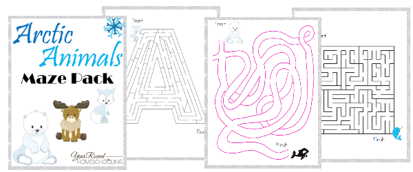 Arctic Animals Maze Pack - Year Round Homeschooling