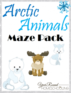 Arctic Animals Maze Pack - Year Round Homeschooling
