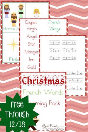 Christmas French Words Learning Pack - By Year Round Homeschooling ...
