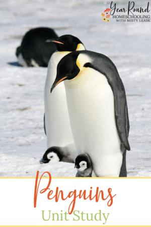 Penguins Unit Study - Year Round Homeschooling