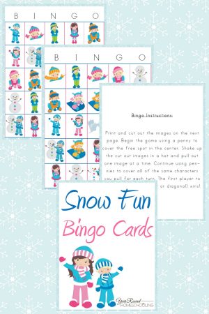 Snow Fun Bingo Cards - Year Round Homeschooling