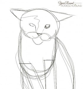 How to Draw a Scarred Cat Using Digital Media - Year Round Homeschooling