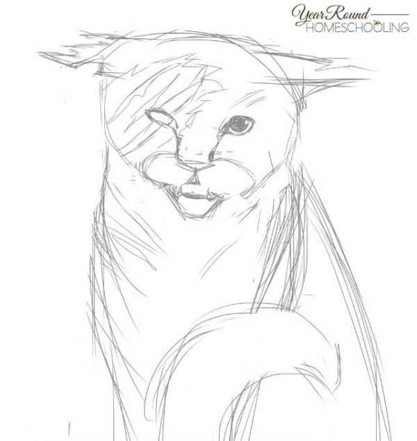 How to Draw a Scarred Cat Using Digital Media - Year Round Homeschooling
