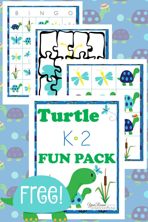 Turtle K-2 Fun Pack - Year Round Homeschooling