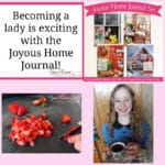 Kids in the Kitchen: Getting Started with Home Ec - Year Round ...