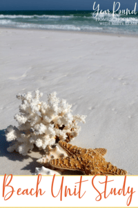 Beach Unit Study - Year Round Homeschooling