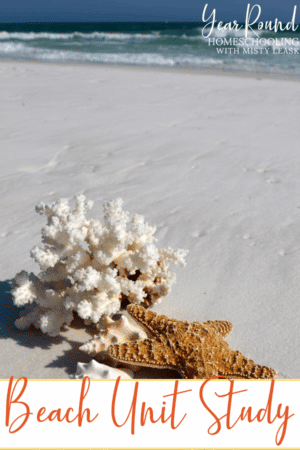 Beach Unit Study - Year Round Homeschooling