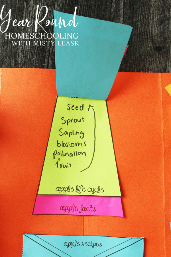 Johnny Appleseed Lapbook - Year Round Homeschooling