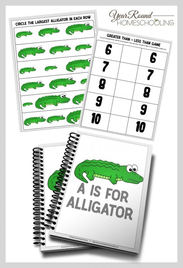 A is for Alligator Activity Pack - Year Round Homeschooling