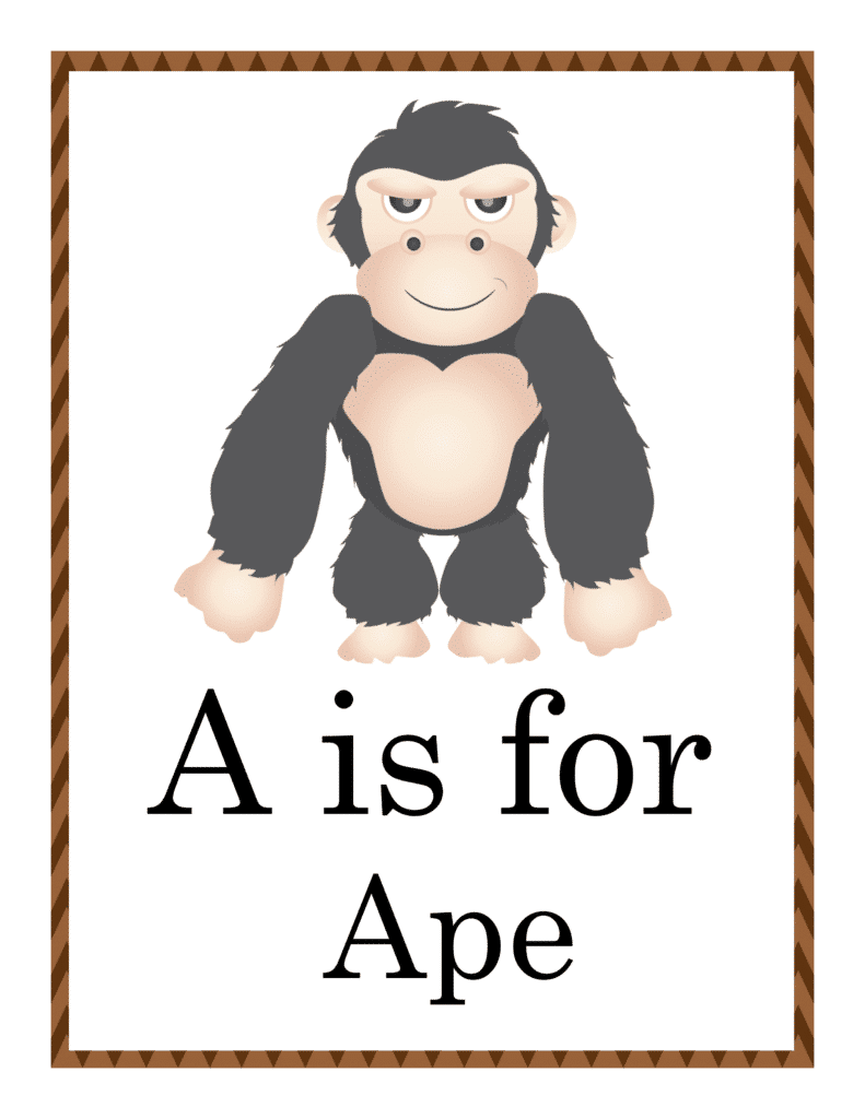 A is for Ape Activity Pack - Year Round Homeschooling