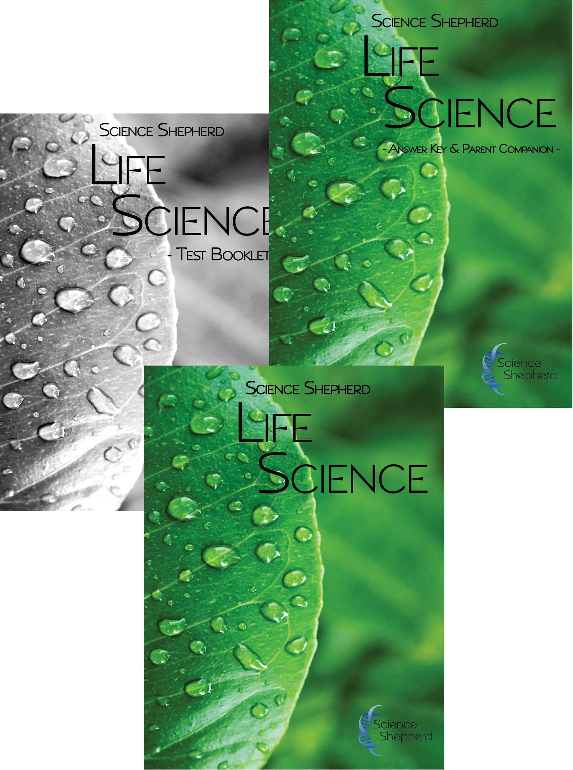 Faith Based Homeschool Curriculum Choices - Year Round Homeschooling