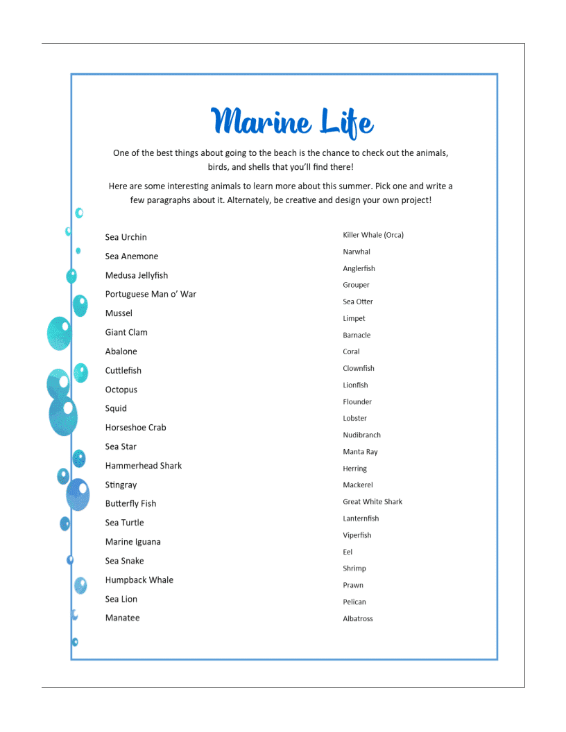 High School Summer Learning Collection - Year Round Homeschooling