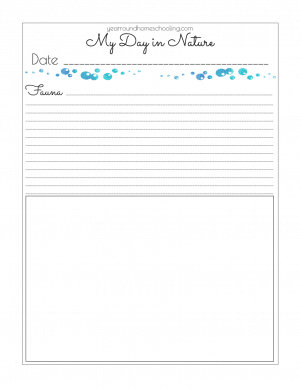 Middle School Summer Learning Collection - Year Round Homeschooling