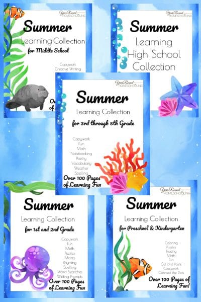 Summer Learning Collections - Year Round Homeschooling