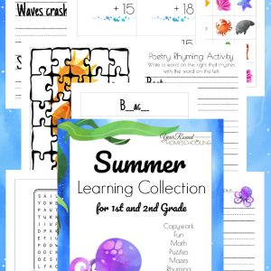 1st-2nd Grade Summer Learning Collection - Year Round Homeschooling