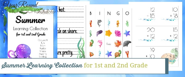 1st-2nd Grade Summer Learning Collection - Year Round Homeschooling