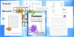 Summer Learning Collections - Year Round Homeschooling