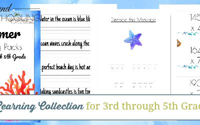 Year Round Homeschooling - Loving, Learning, Living