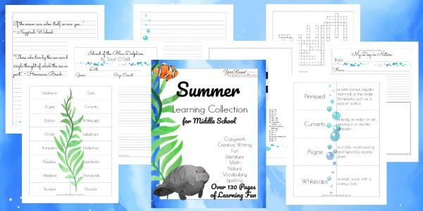 Summer Learning Collections - Year Round Homeschooling
