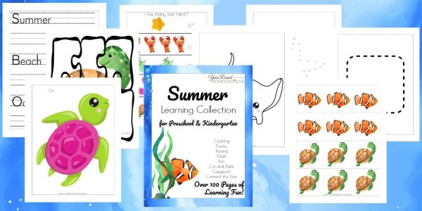 Summer Learning Collections - Year Round Homeschooling