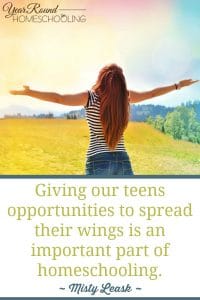 High School Summer Learning Collection - Year Round Homeschooling