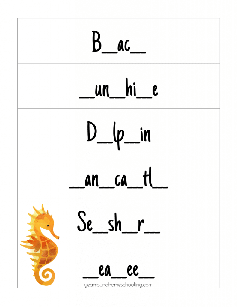 1st and 2nd Grade Summer Learning Collection - Year Round Homeschooling