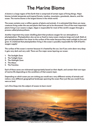 Ocean Explorers: An Ocean Unit Study - Year Round Homeschooling