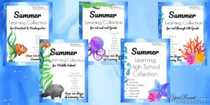 1st-2nd Grade Summer Learning Collection - Year Round Homeschooling