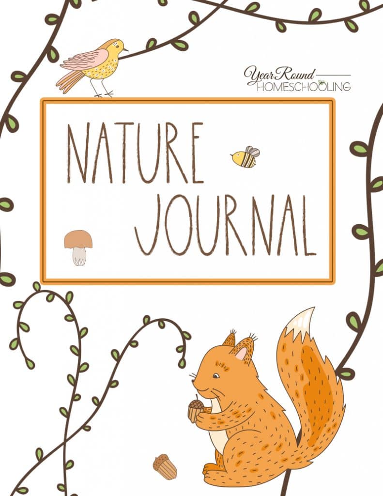 Year Round Nature Journaling Ideas + Free Printable - Year Round ...