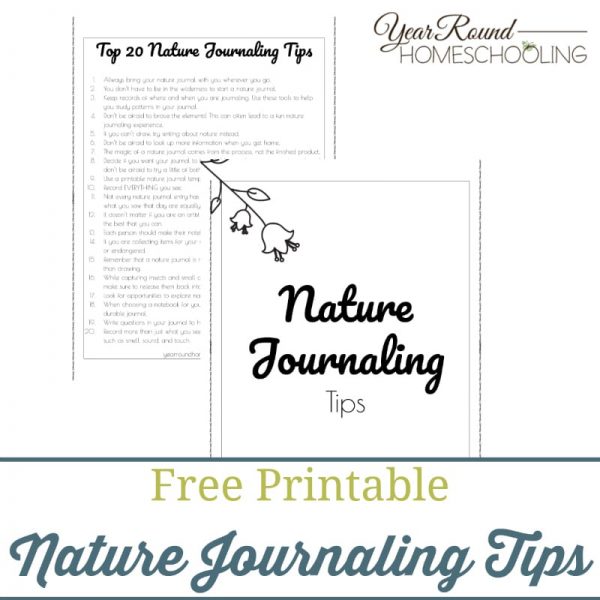 Nature Journaling Tips - Year Round Homeschooling